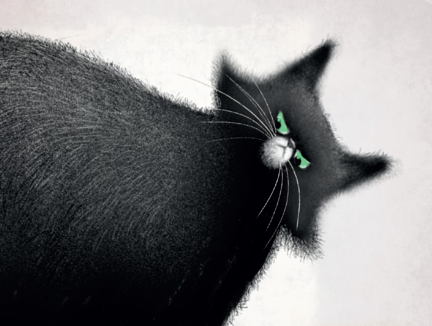 Sumo Kitty: il podcast per bambini da ascoltare